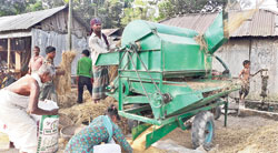 Paddy threshing machine turns boon for farmers but bane for farm labourers