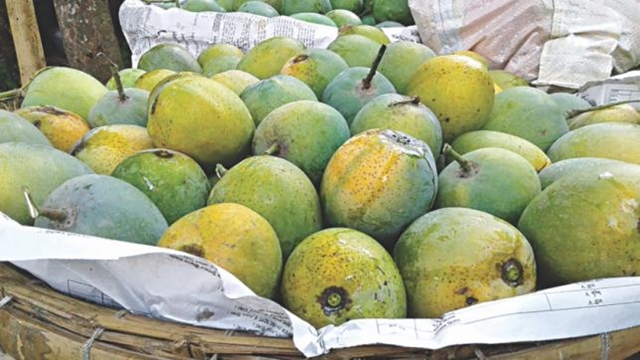 ‘Khirsapat mango’ gets GI certificate