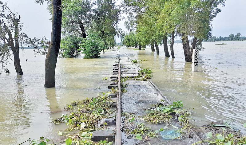 Flood situation in Sylhet, Sunamganj unchanged