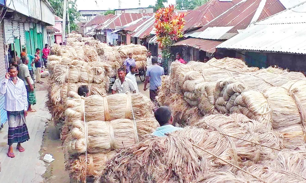 Poor jute price frustrates growers in Narail